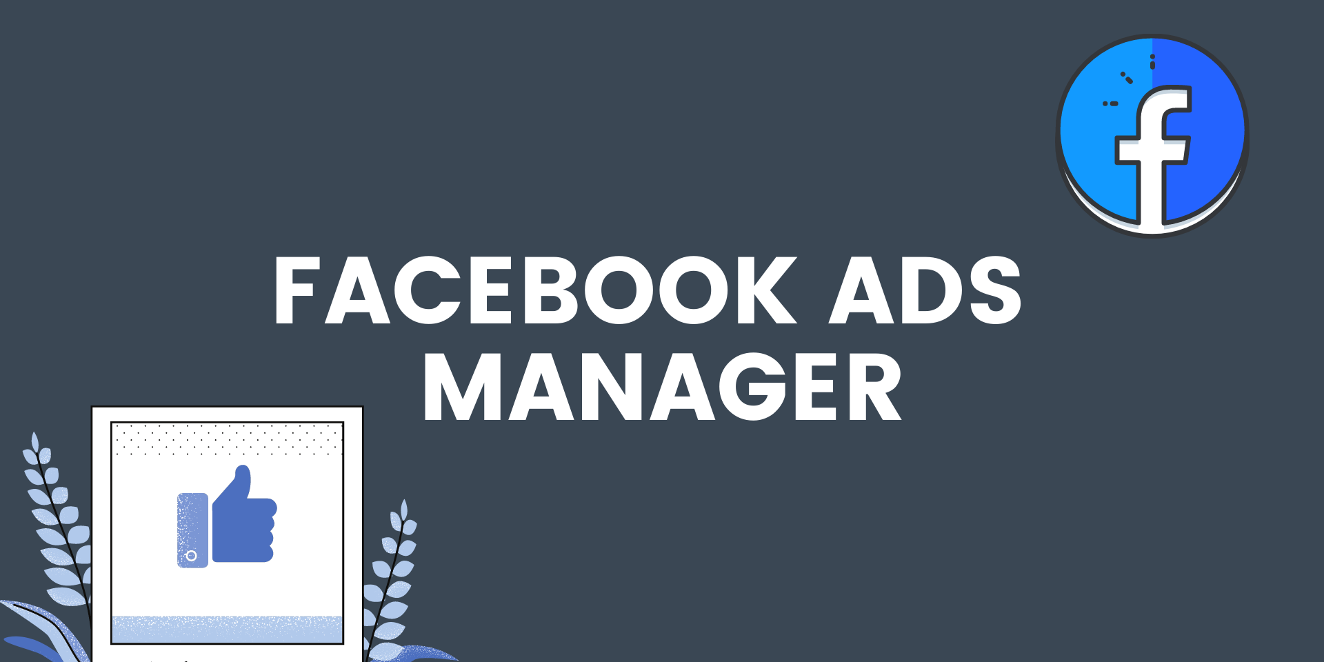 Facebook Ads Manager | Nanos